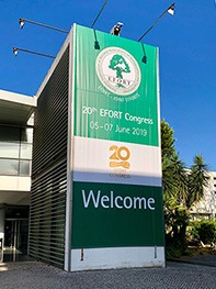 Ajay C. Lall, M.D., M.S. | Sports Medicine Chicago, IL | Arthroscopic ...