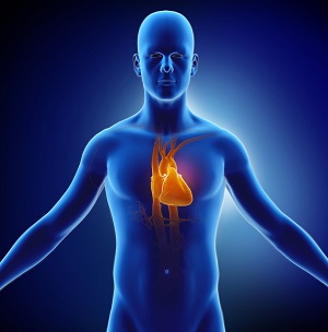 Cardiac Surgery Miami | Minimally Invasive Heart Surgery Caribbean Islands