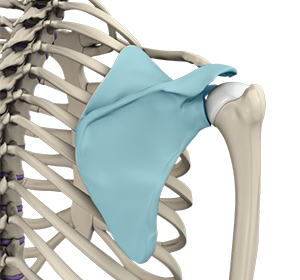 Snapping Scapula Lewisburg, WV | Shoulder Surgery Ronceverte, West Virginia