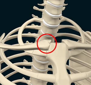 Sternoclavicular Joint Disorder Ronceverte, WV | SC Joint Lewisburg, WV