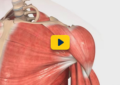 Dr Sabin Shah | Orthopedic Sports Medicine Surgeon Mount Pleasant ...