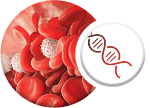 Dr Erik Stark | Stark Orthobiologics | Sports Medicine Carlsbad, CA